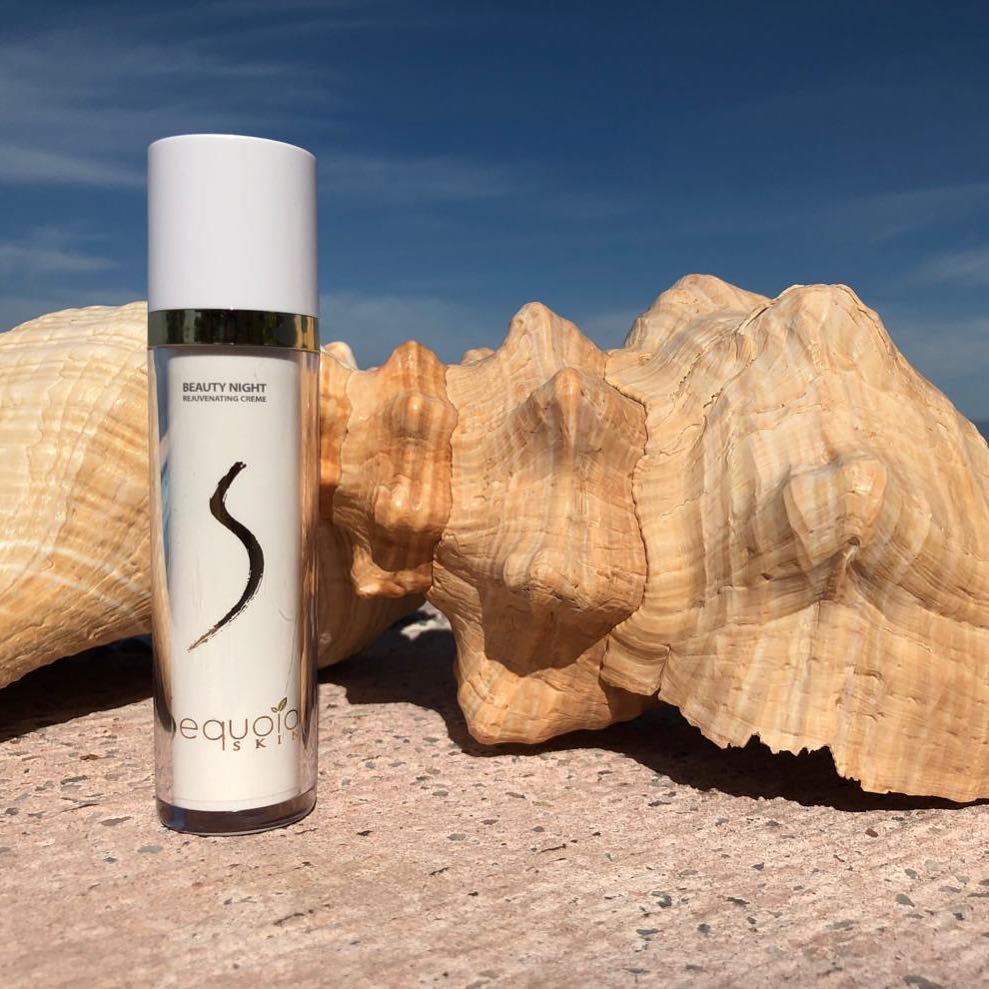 Moisturizing Beauty Night – Sequoia Skin